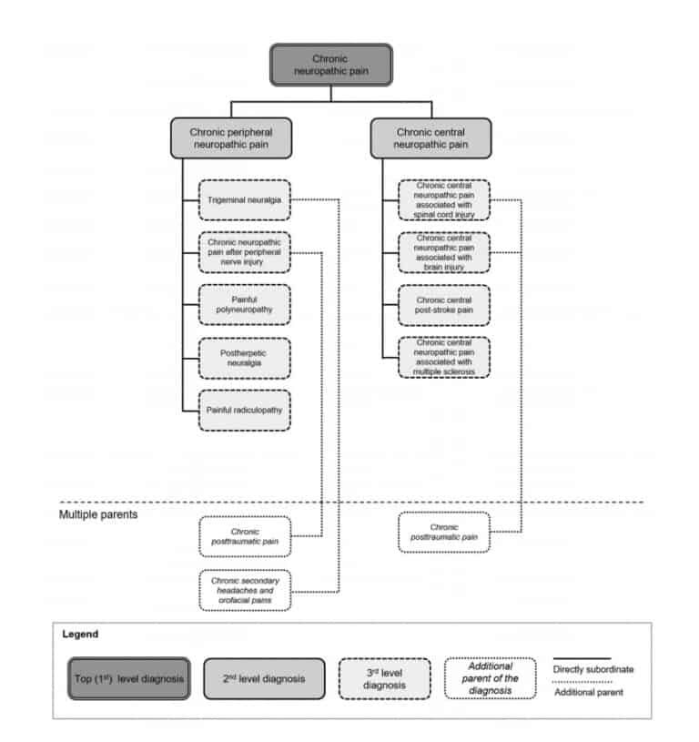 Neuropathic Pain (NeuPSIG), IASP Special Interest Groups (SIGs ...