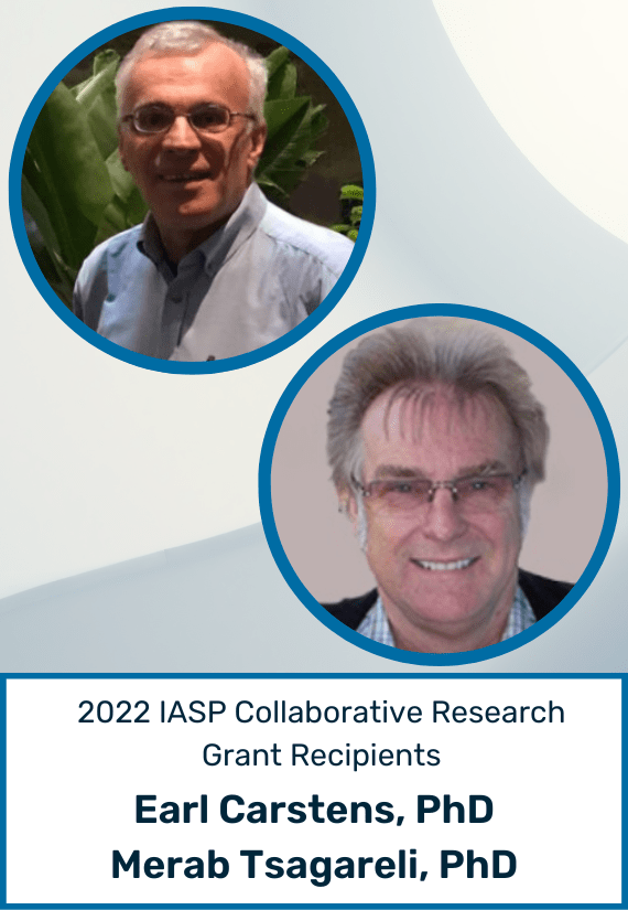IASP Announces the 2022 IASP Collaborative Research Grant Recipients ...
