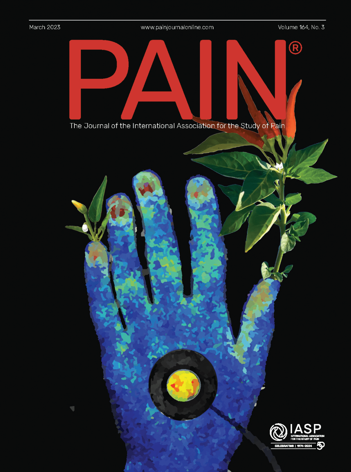 International Association for the Study of Pain | IASP