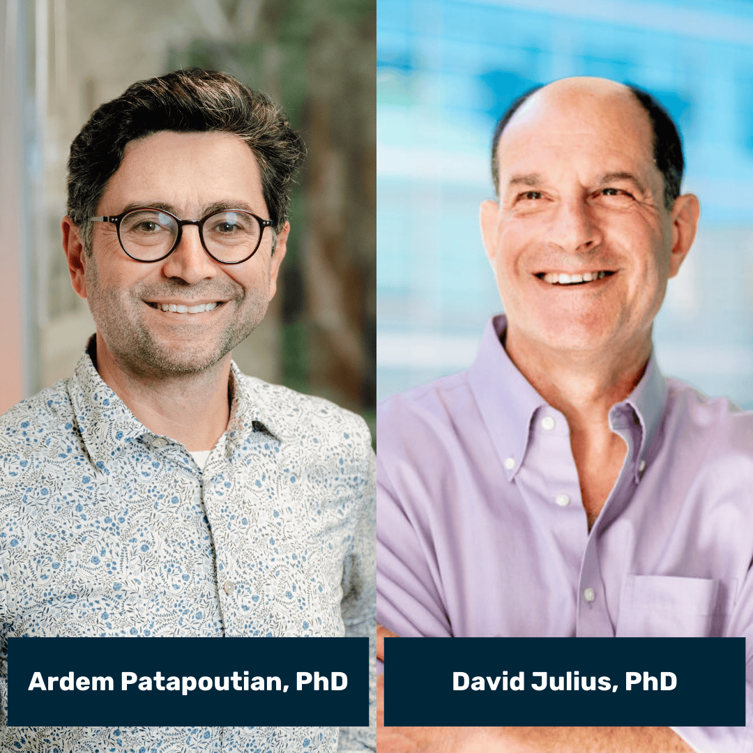 2020 - Present - International Association for the Study of Pain (IASP)