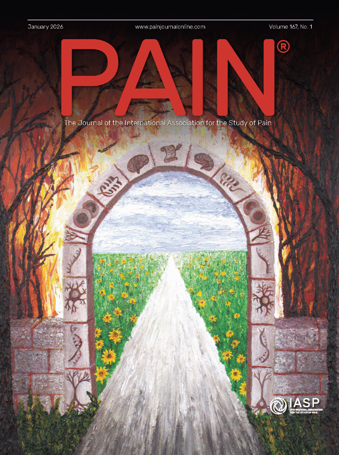 International Association for the Study of Pain | IASP